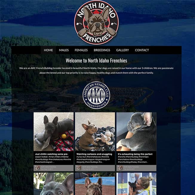 Dog Breeder Web Design, Kennel Websites, Dog Fancier Designs